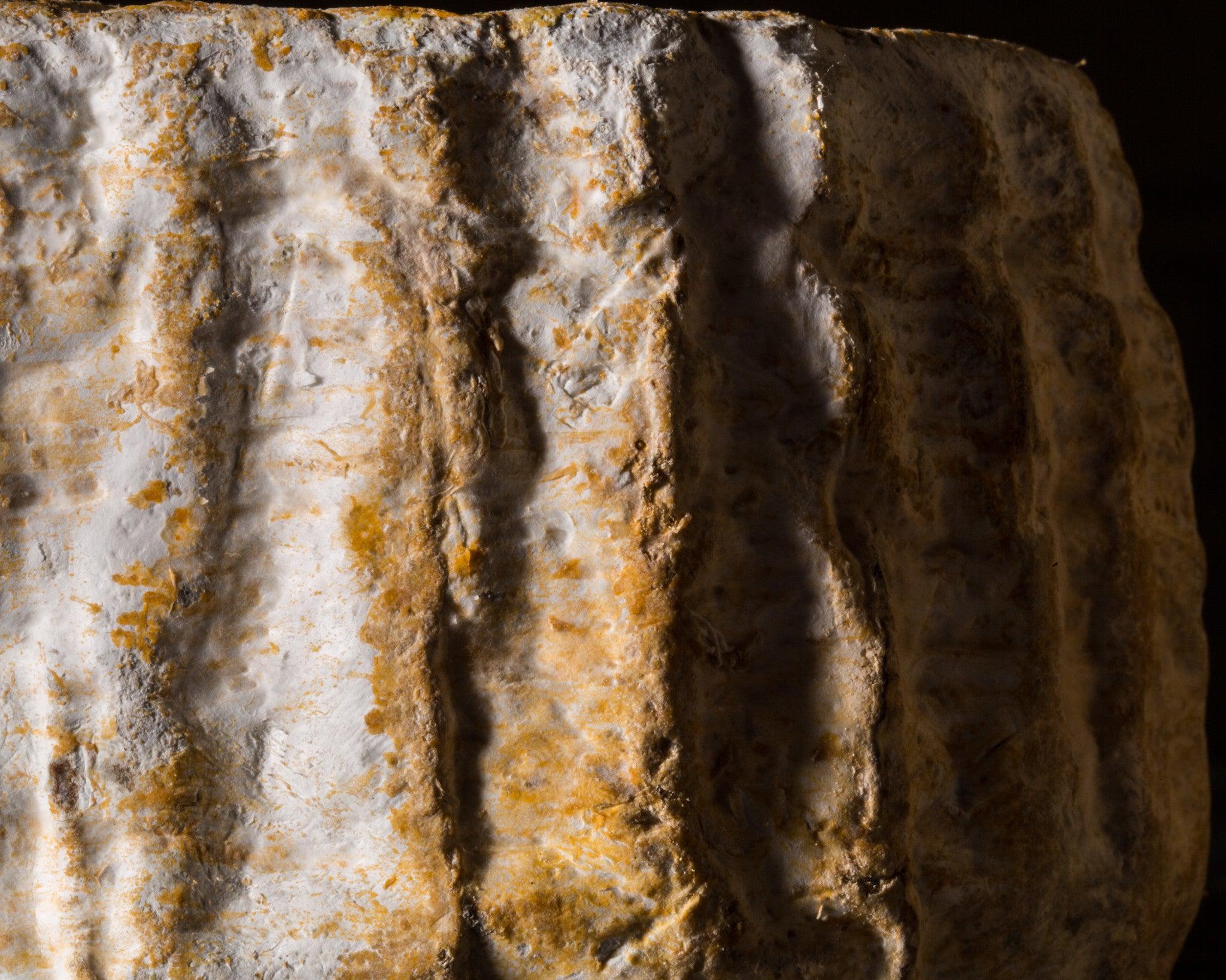 Mind the Rind: A Cheese Photo Journal – Cheese Grotto