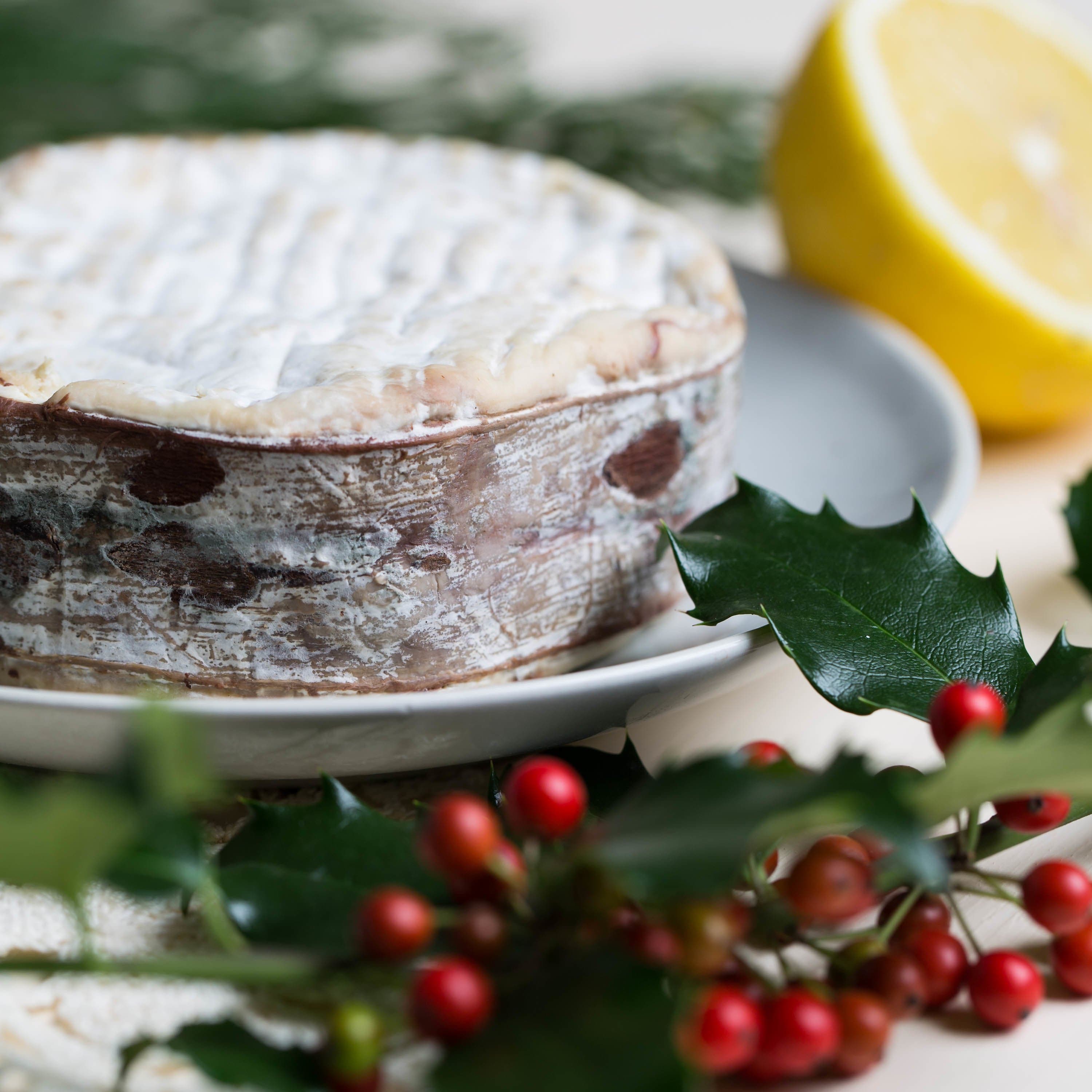 Mini Harbison Cheese | Jasper Hill Farm | Cheese Grotto
