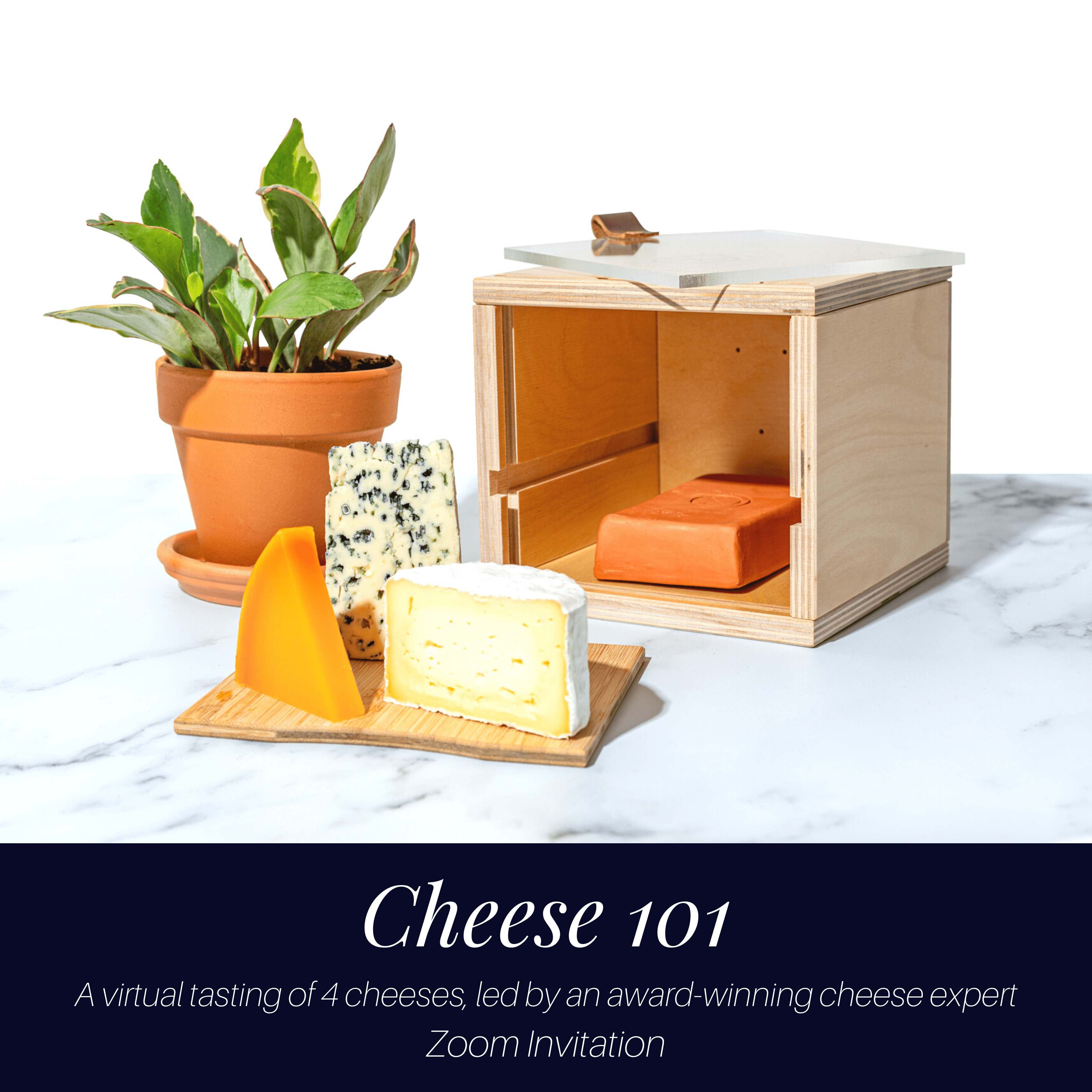 Cheese 101 Virtual Tasting Cheese Grotto