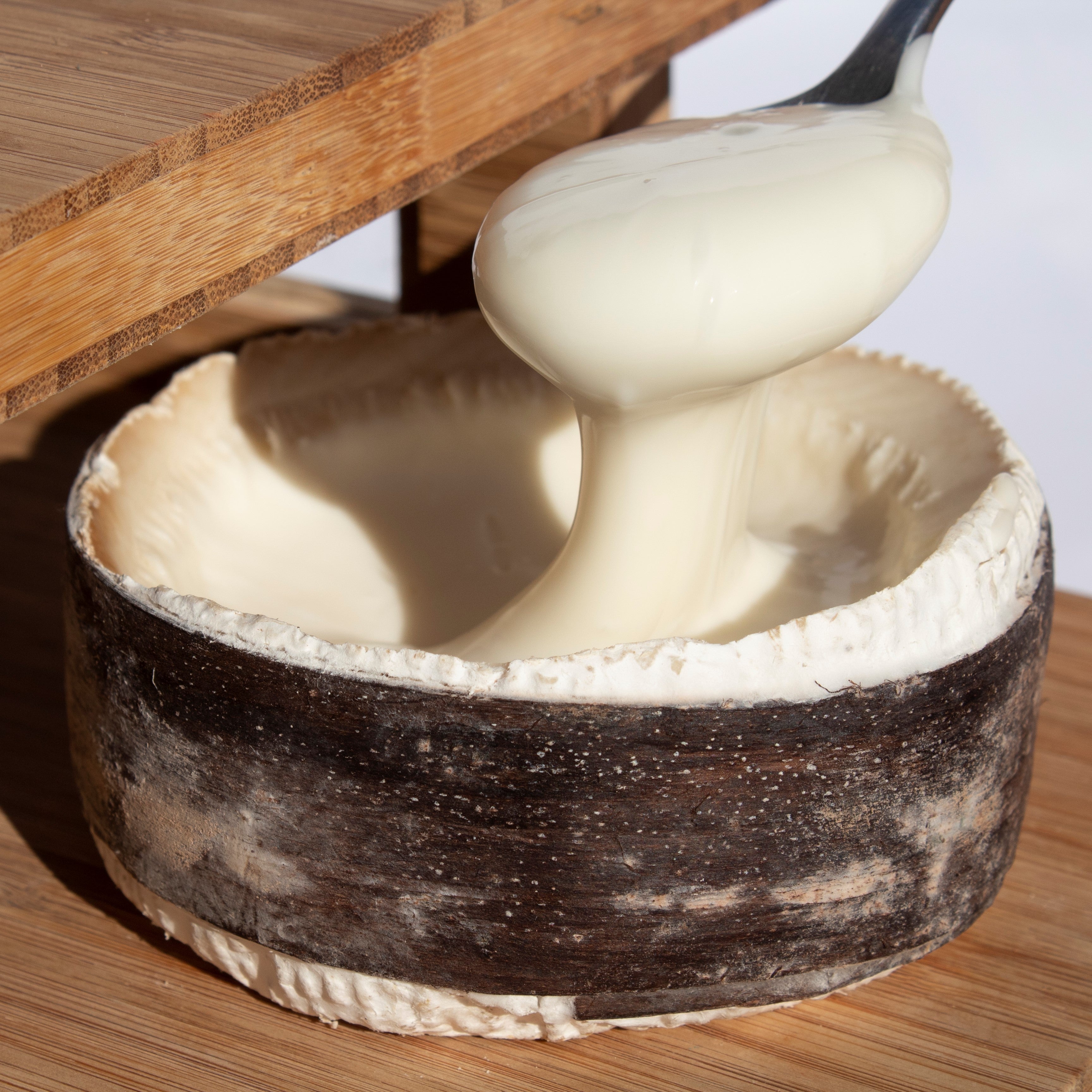 Thanksgiving Preorder: Spruce Reserve by Firefly Farms | Cheese Grotto